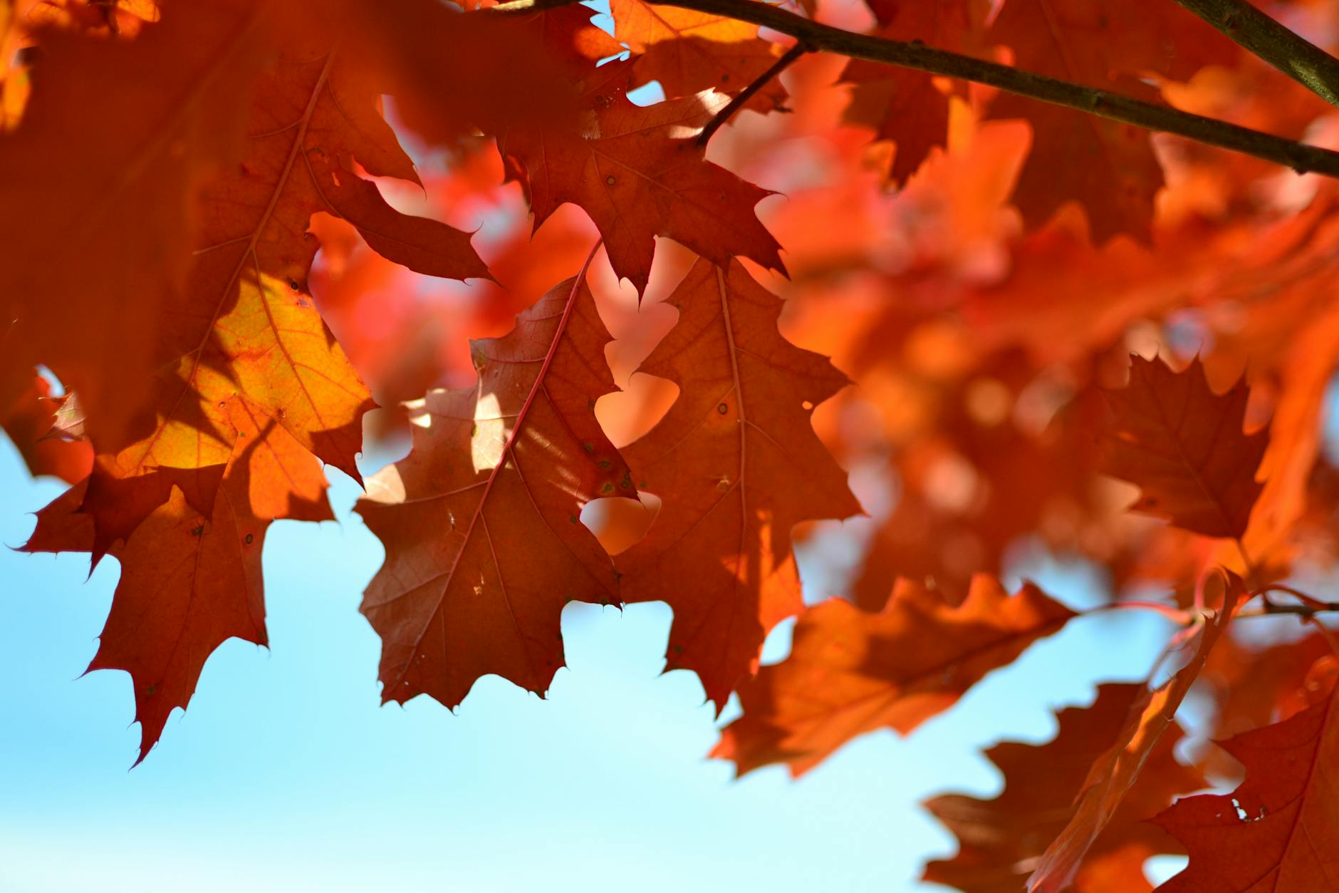 10 Things I love about Fall in Provence – Belle Provence Travels