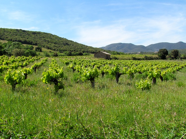 A Beautiful Weekend at Château Autignac – Belle Provence Travels