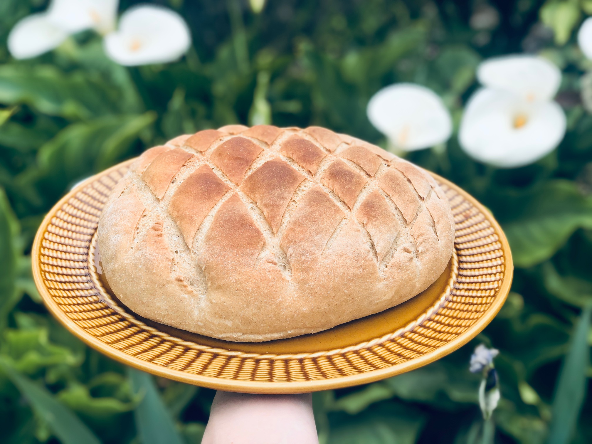 How to Make “Pain de Campagne” – French Country Bread – Belle Provence ...