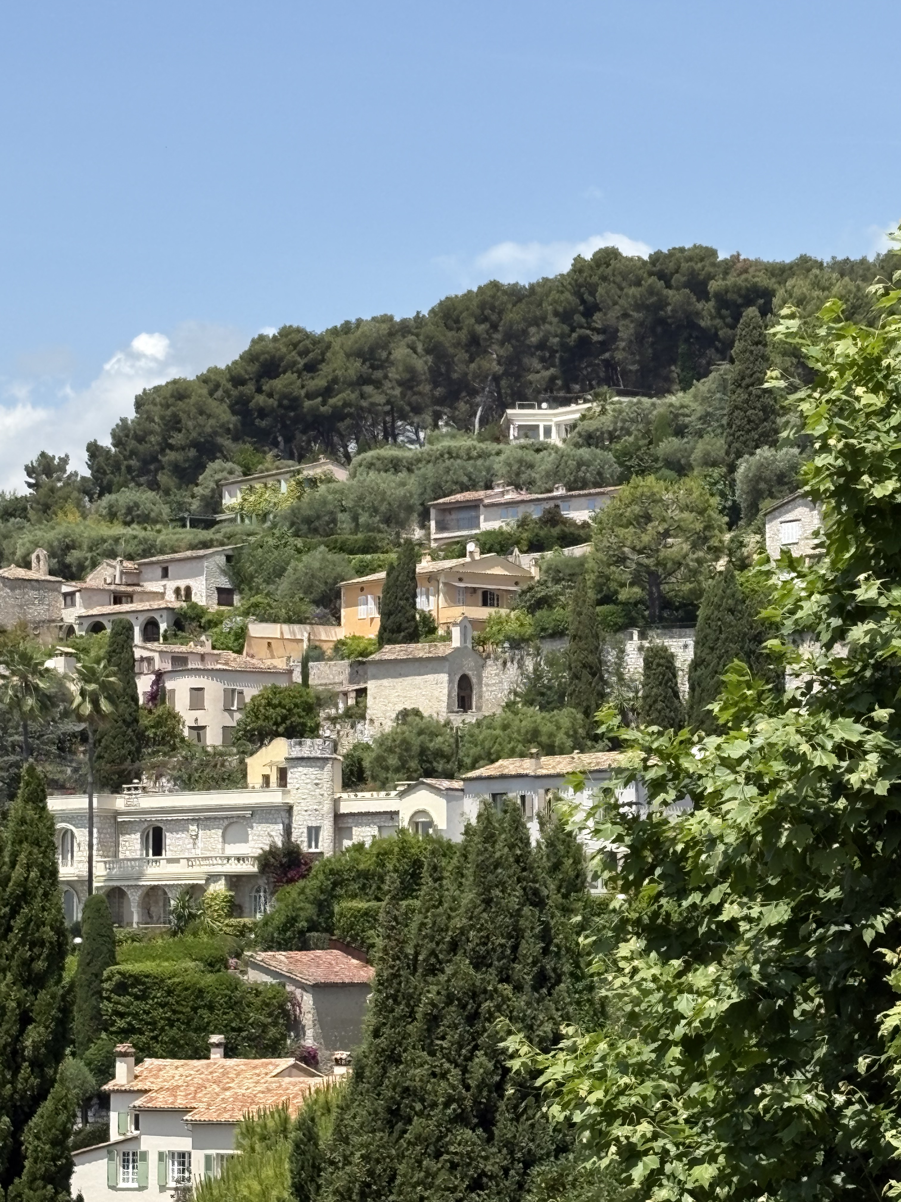 Culinary delights and dreams under the linden tree in Saint-Paul-de ...